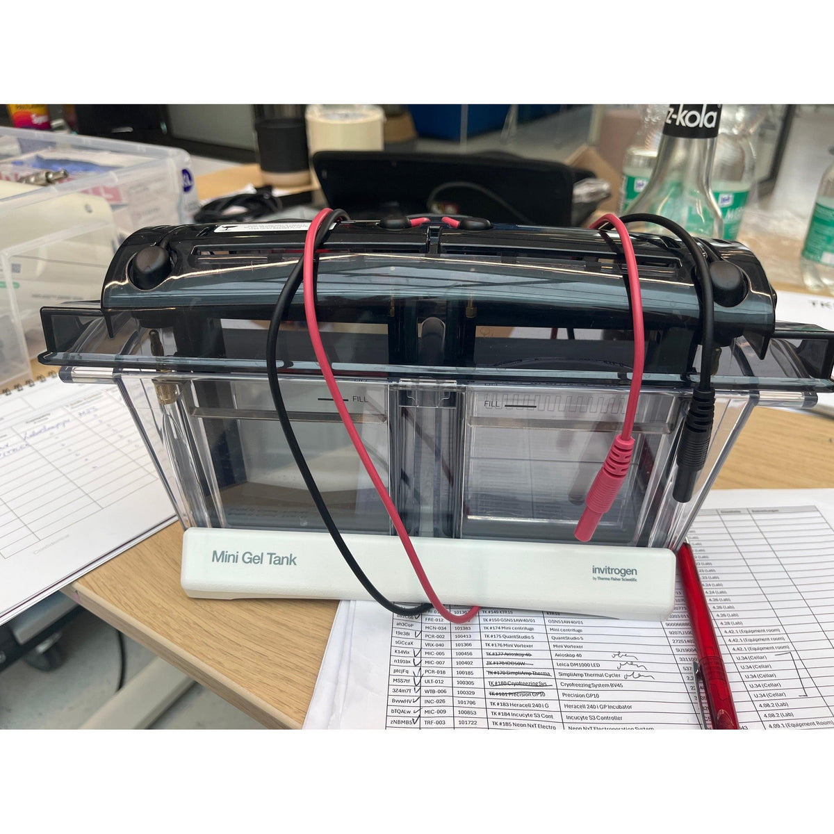 Thermo Scientific Mini Gel Tank — EG LifeScience GmbH